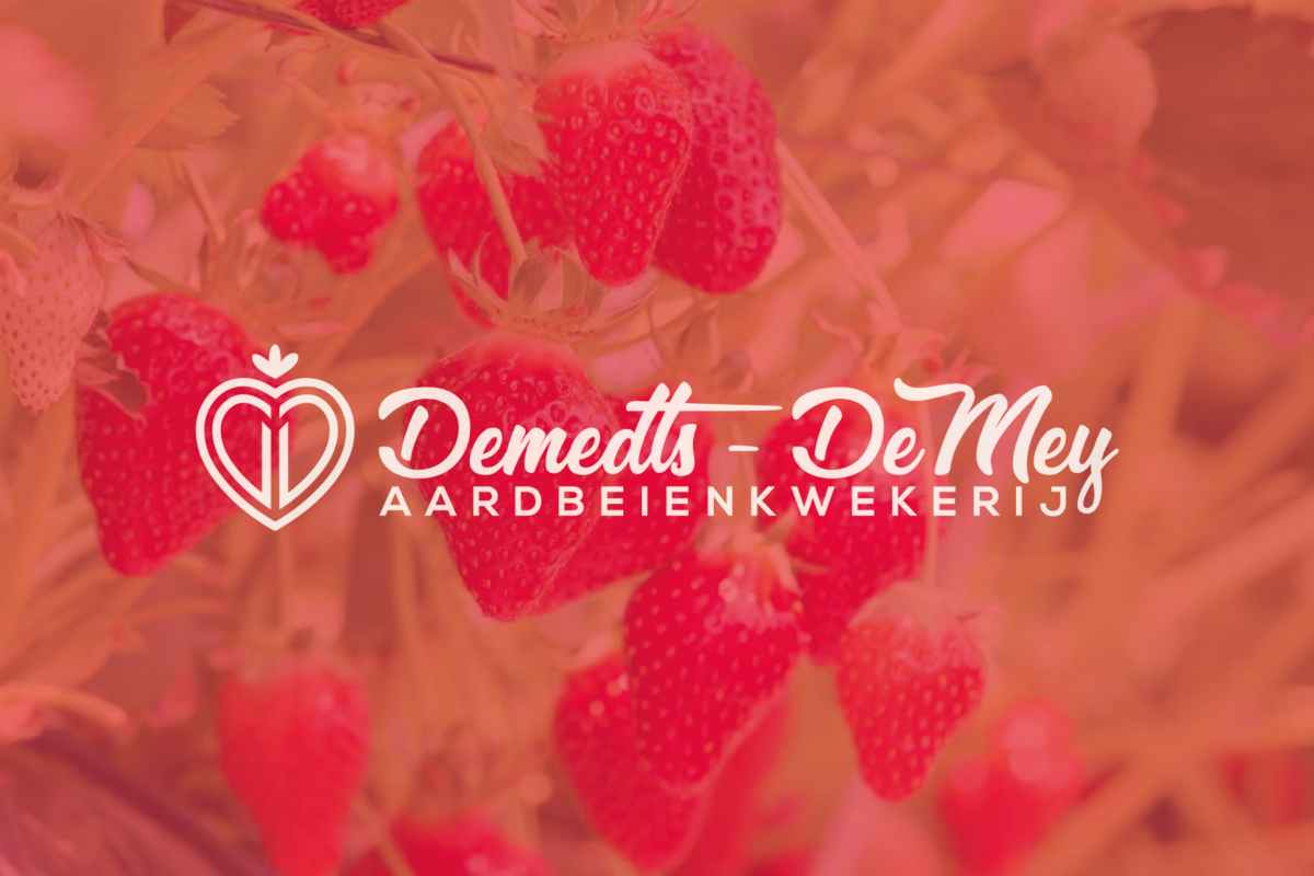 DEMEDTS-DEMEY - MC Design